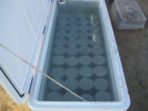 Curing Boxes vs. Maturity: Maintaining Concrete Temperature
